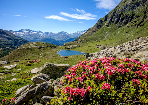 Parchi, riserve naturali e luoghi incantevoli - Valtellina