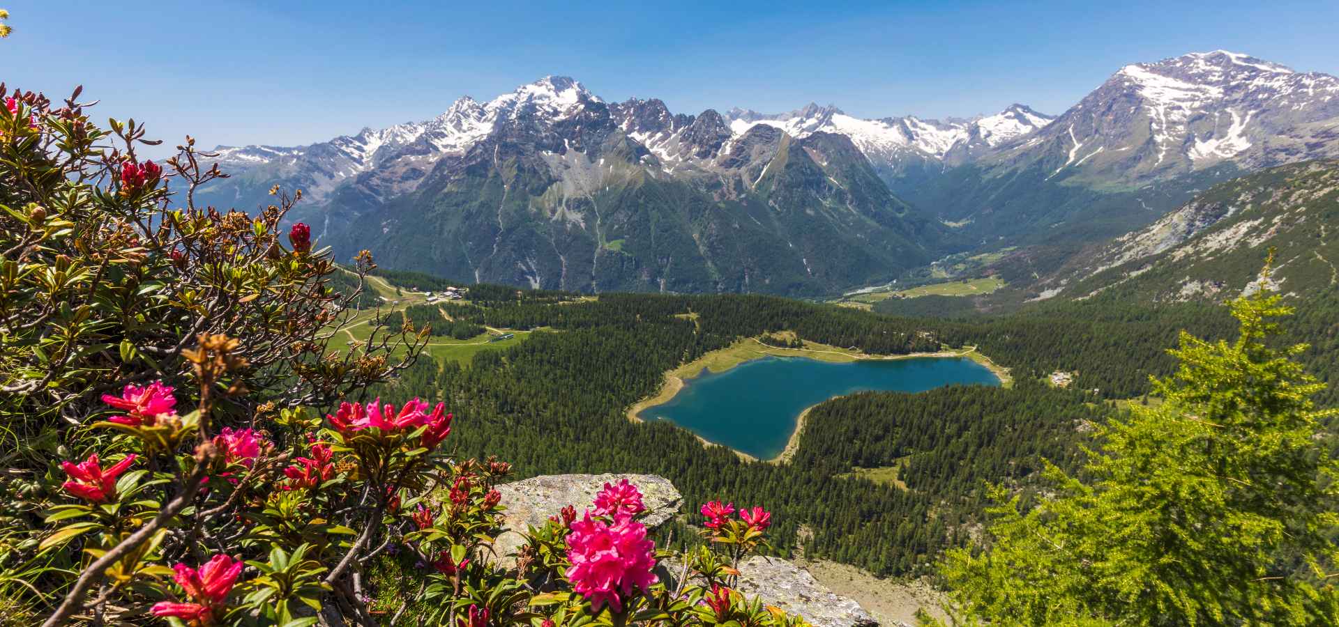 Home - Valtellina