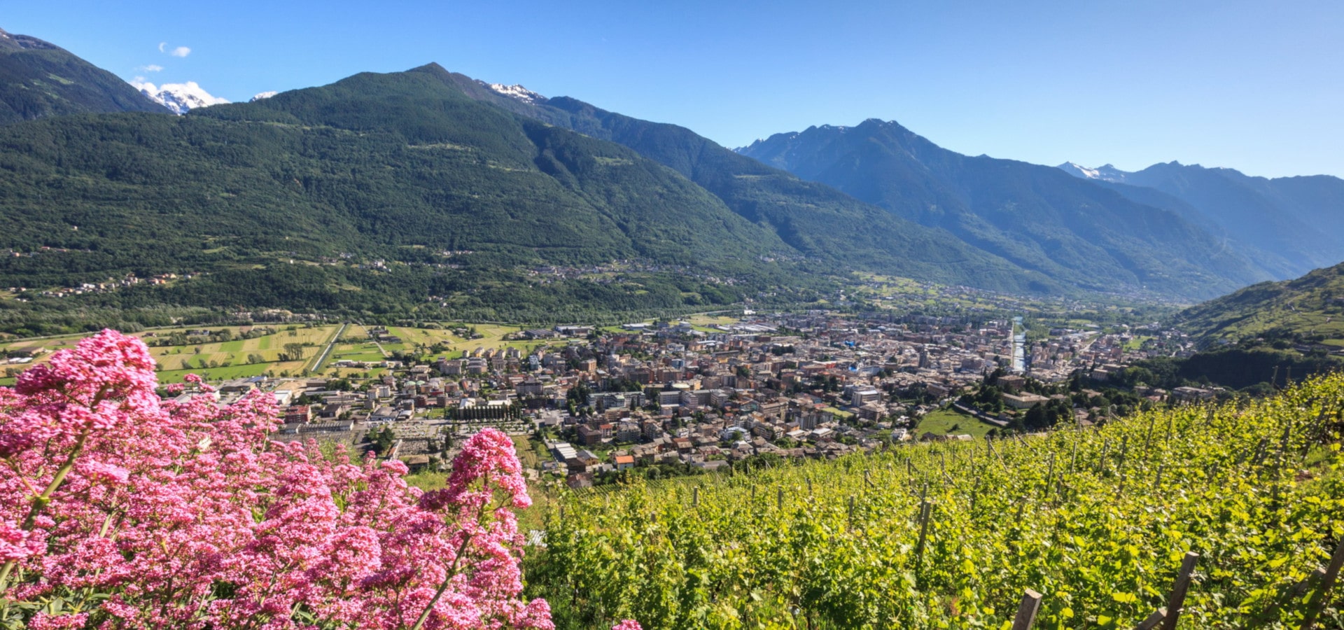 Home - Valtellina